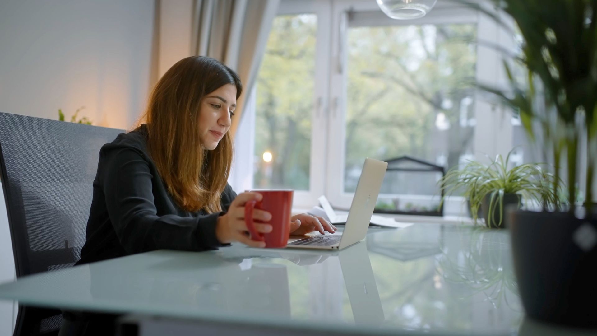 Beettoo - Story Hero